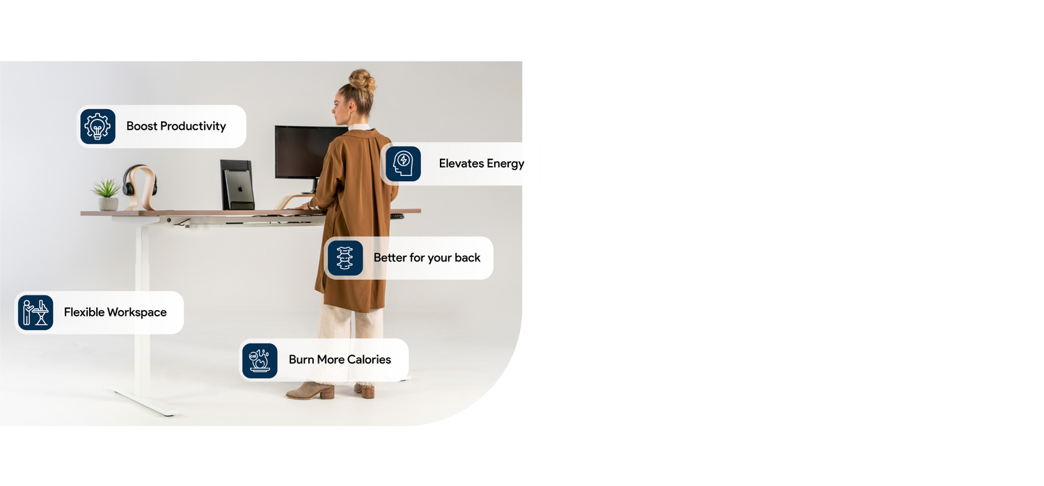 Deskbird NZ | Adjustable Standing Desks in New Zealand