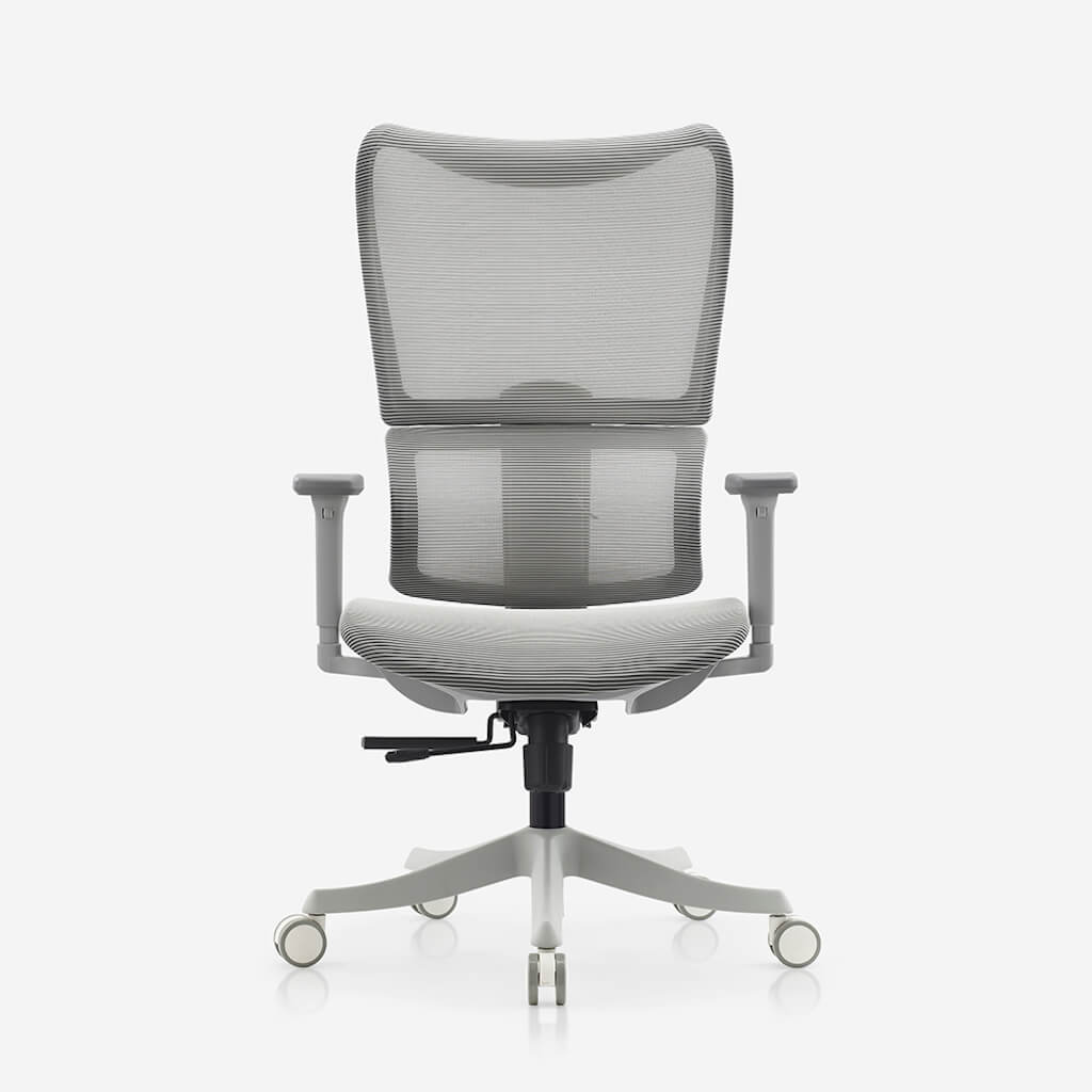 Deskbird | Full Mesh Ergonomic Infinity Chair - Grey