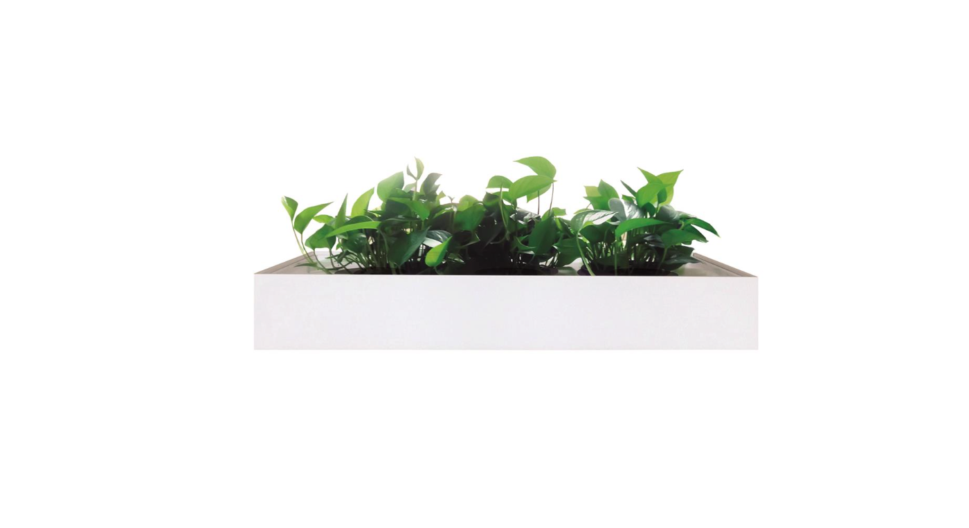 Deskbird | Milano 900 Planter Box